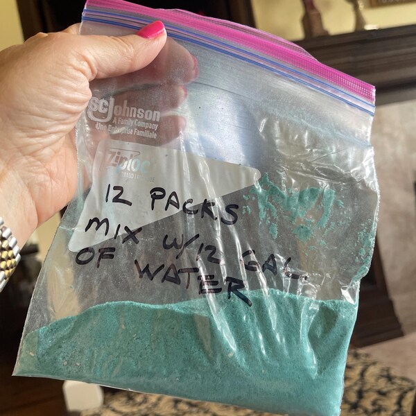 Pencil Plant RED Fire-sticks, Rooted Plant for Fairy Gardens, Shade and ...