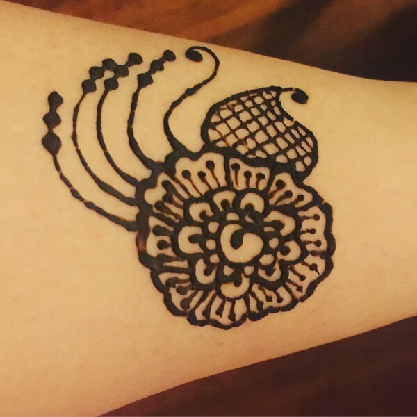 Big Bad Beginners Henna Temporary Tattoo Body Art Kit POWDER, PASTE ...