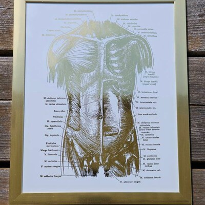Skin Anatomy Art Dermatologist Gift Foil Print Skin Care Anatomy Poster ...
