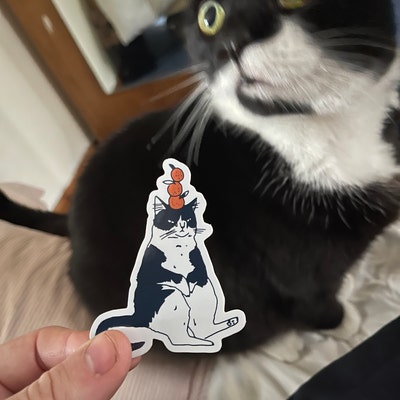 Carrot Cat Sticker Transparent Sticker Cat Stickers Kawaii - Etsy