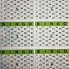 Editable Bingo Pattern Program Flyer, Easily Create Your Own 6 Game ...