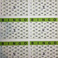 Editable Bingo Pattern Program Flyer, Easily Create Your Own 6 Game ...