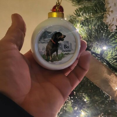 February Iris Birth Flower Spiral Notebook Ruled Line Iris Birth Flower ...