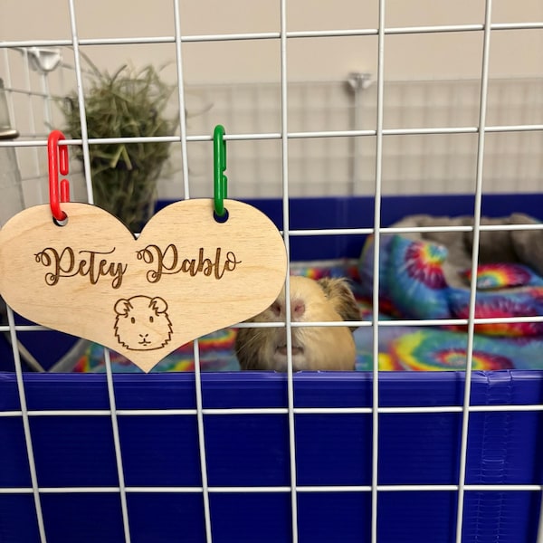Guinea Pig Cage Tag, Personalized, Custom, Engraved Wood, Pet Guinea ...