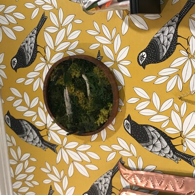 12 Moss Letters Numbers Event Decorations Preserved - Etsy