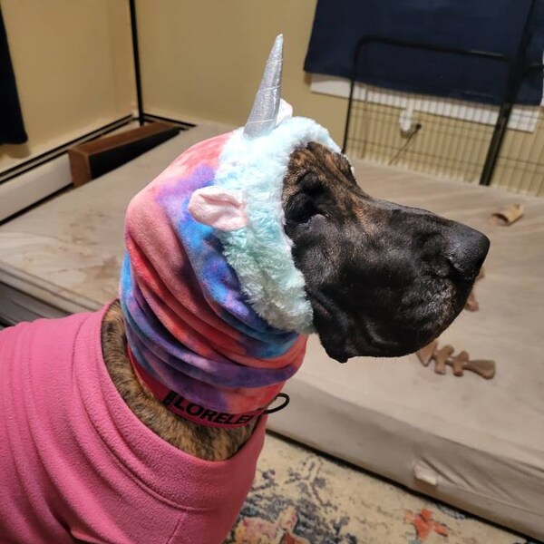 Raccons on Bikes Snood for Dogs, Great Dane/big Dog Snood, Bicycle ...