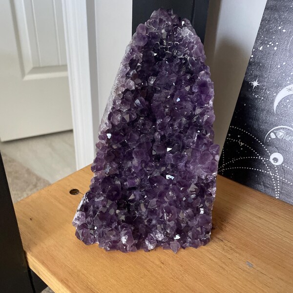 Flash Sale BEAUTIFUL RAINBOW Arizona Petrified Wood Slab Polished both ...