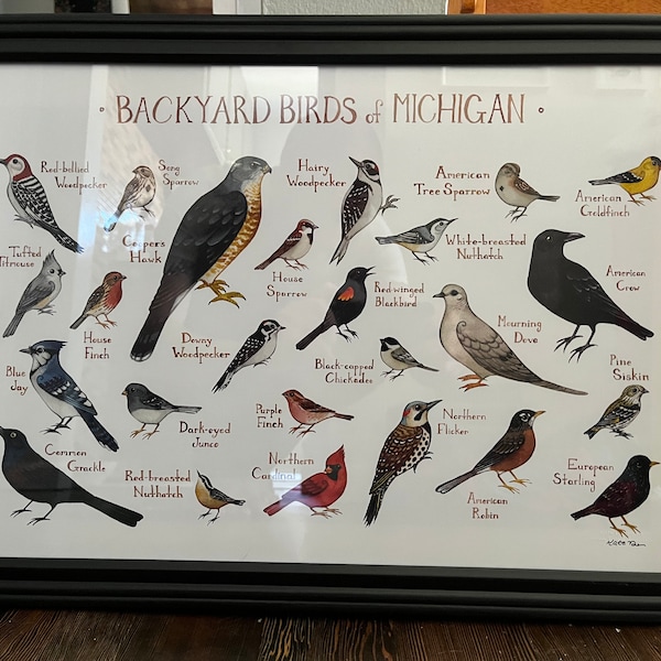 Michigan Backyard Birds Field Guide Art Print / Watercolor Painting ...