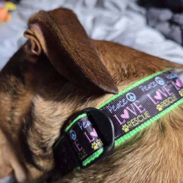 US Air Force Design Pet Collars, Harnesses, Lanyards and Leashes - Made ...