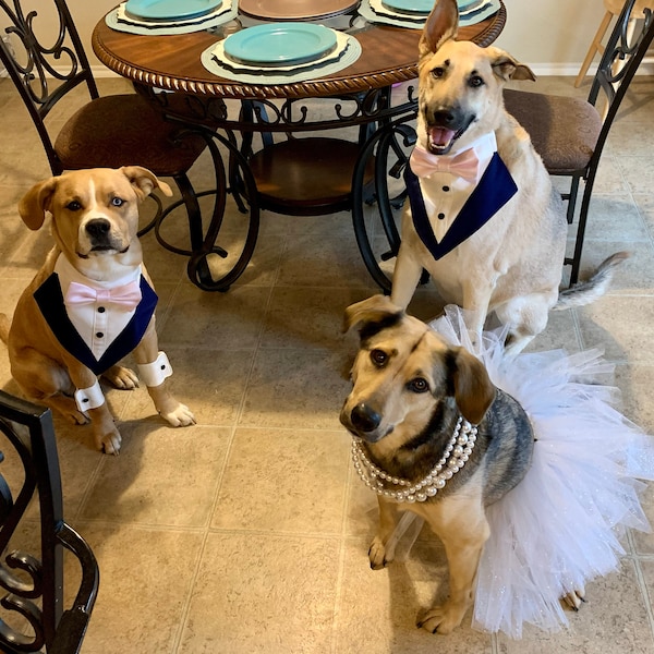 Dog Cuffs~non-slip Feature~dog Tuxedo~dog Cuffs With Satin Buttons to ...