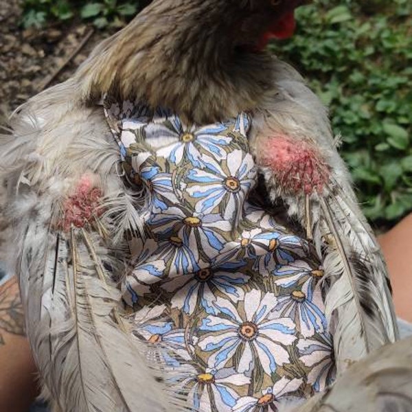 Chicken Diaper/ Hen Diaper/ Standard Chickens/ Random Patterns. - Etsy