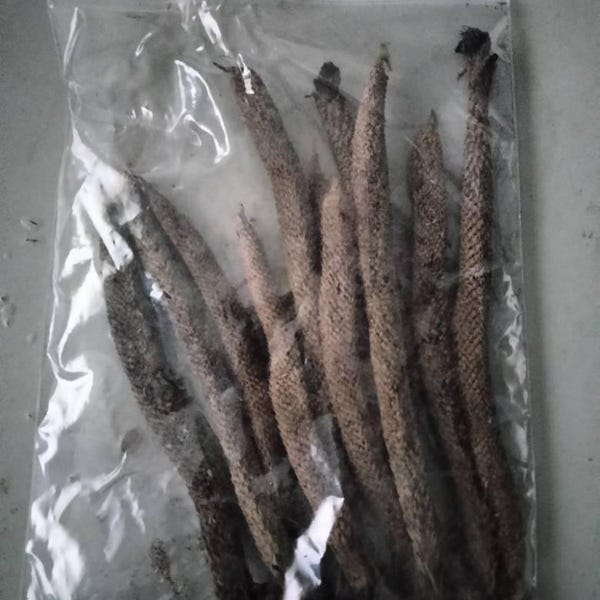 Natural Chewing Sponge,taakotsa,sawie From Ghana (100g) - Etsy