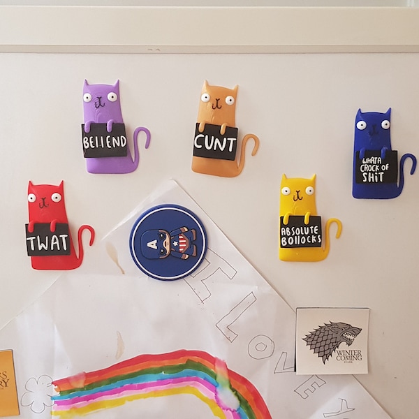 What A Crock of Shit Fridge Magnet Sweary Rainbow Cats Fridge Magnet ...