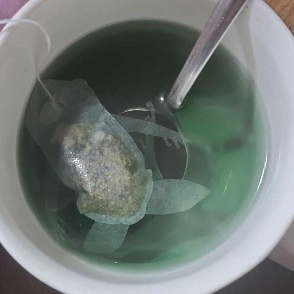 Napoleon Fish Rooibos Tea Bag - Ocean Teabag - Etsy