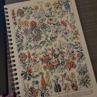 Japanese Tigers by Taguchi Tomoki 1860-1869 Original Abstract Ukiyo-e ...