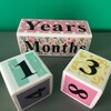 Milestone Blocks for Baby and Pregnancy: Pastels, Maternity Photo Prop ...