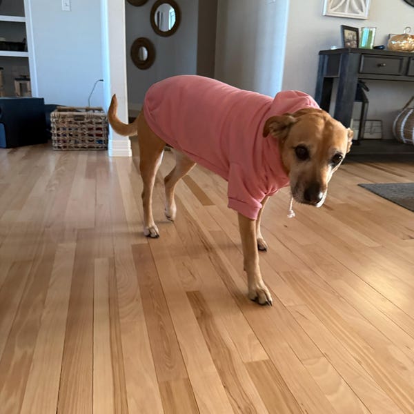 Flower Man Fanny Pack, Flower Dude Custom Fanny Packs, Flower Guy Waist ...