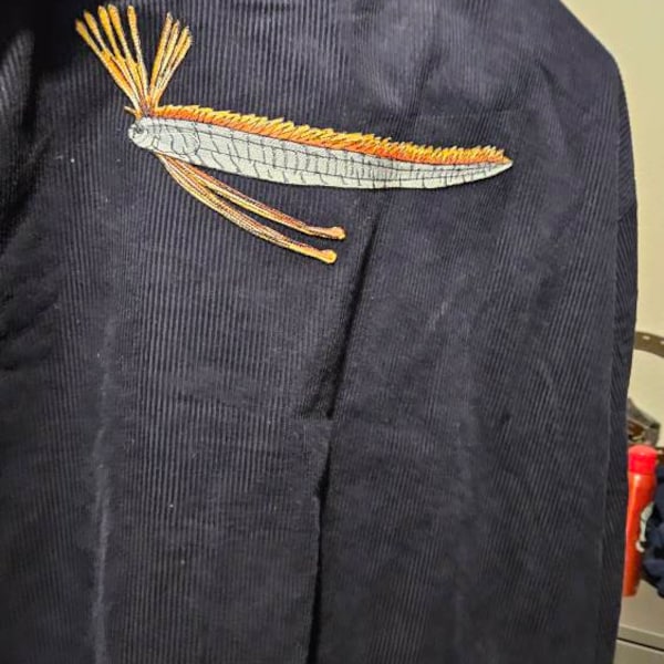 Rare Oar Fish Oarfish Iron on Patch - Etsy