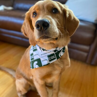 Michigan State Spartans Over Collar Dog Bandana, MSU Pet Scarf ...