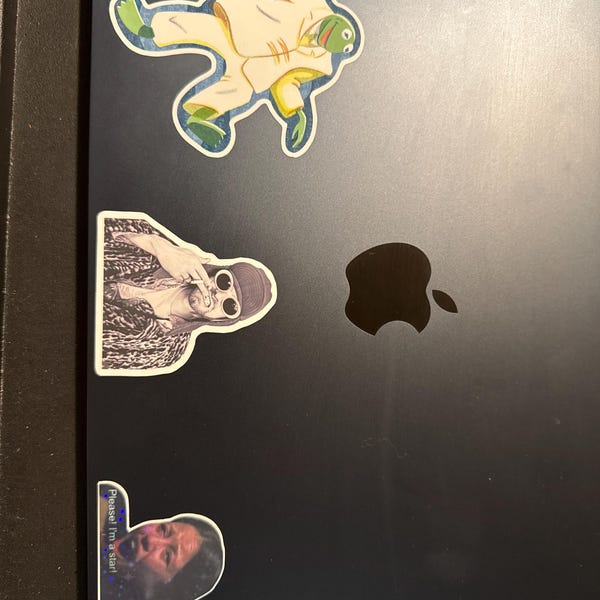 Lindsay Lohan Mugshots Vinyl Sticker - Etsy