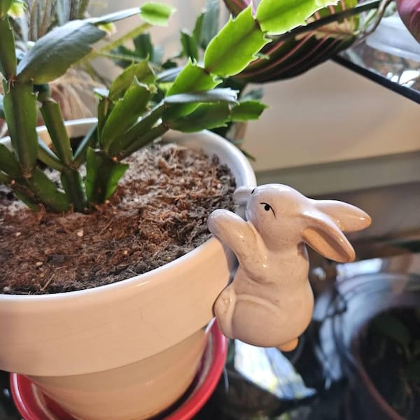Bunny Rabbit Pot Hugger for Flower Pot • Gardening Gifts • Unique ...