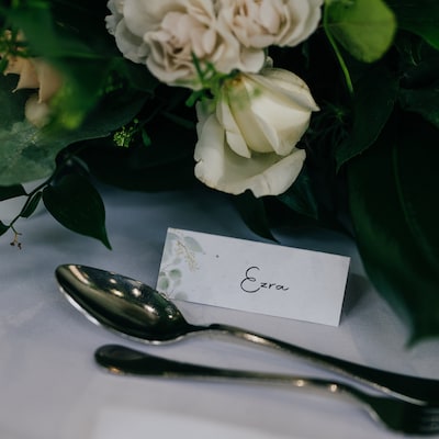 Place Cards Eco Friendly Seeded Paper Place Setting - Etsy