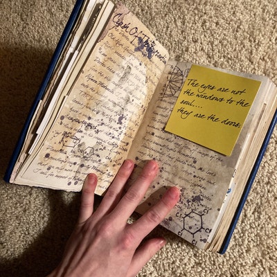 Doctor Who River Song Diary Prop Replica Fully Illustrated - Etsy