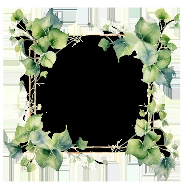 Watercolor Ivy Clip Art - Digital Climbing Ivy Vines Clipart Graphics ...