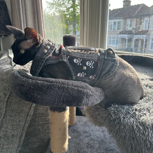 Large Punk Rock Dog Jacket/battle Vest Featuring Cute as Hell Baphomet ...