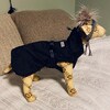 L Size Dog Mannequin PDF Pattern With Sewing Tutorial - DIY Realistic ...