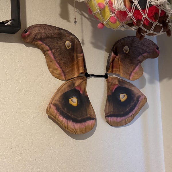 Fairy Bug Costume Wings, Corset Fairy Wings, Ren Faire Moth Costume ...