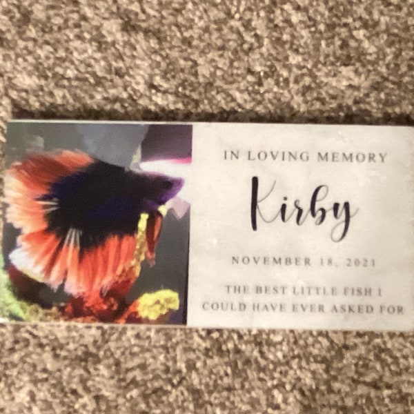 PET FISH MEMORIAL, Cute Memorial Stone, Home Decoration Pet Fish ...