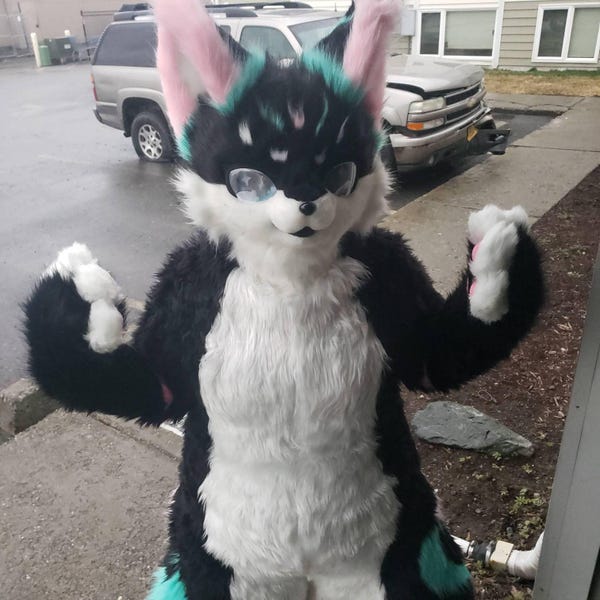 Fursuit, Custom Fursona, Full Personalized Fursuit Maker, Faux Fur, Kemono Commission, Persona ...