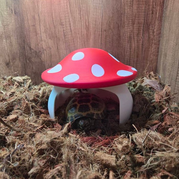 Reptile Climbing Ramp, Bearded Dragon Basking Platform, Rock Wall ...