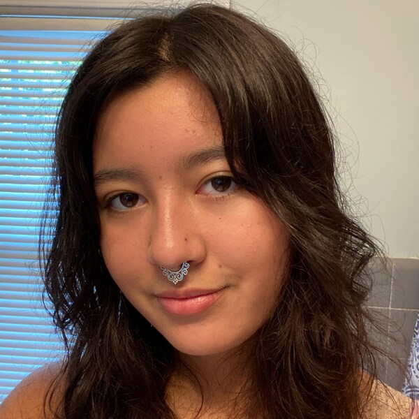 Invisible Septum Retainer, Horseshoe Septum Ring, Barbell Septum Ring ...