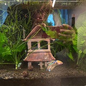 Small Fish Hide Betta Fish Cave Small Aquarium Decor Fish - Etsy