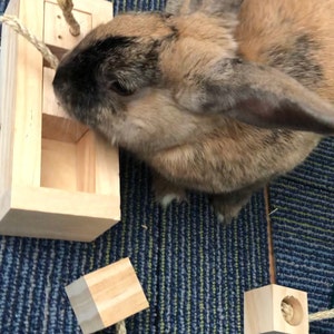 Rabbit Puzzle Treat Toy - Etsy