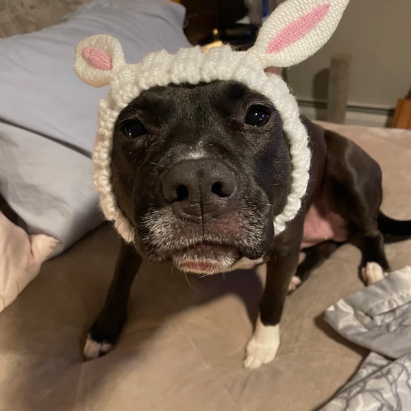 Bunny Rabbit Dog Snood | Knit Crochet Dog Hat | Halloween Dog Costume ...