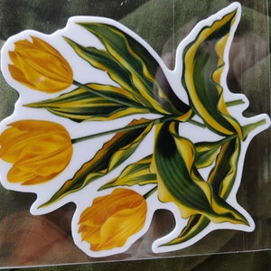 Pink Lady Slipper Sticker, Flower Sicker, Stickers for Hydroflask, Die ...