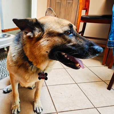 Norse Viking Wood Carving Tileable Seamless Pattern Repeating Digital ...