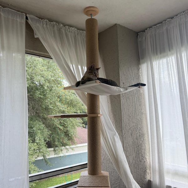Modern Climber Cat Tree With Hammock, Floor to Ceiling Cat Tree Tower ...