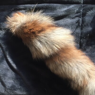 Real Fox Tail, Fox Tail, Fox Tails, Red Fox, Red Fox Tail, Fox Fur ...