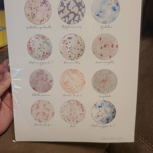 Microbe Collection, Bacteria, Bacteria Art, Science, Science Art ...