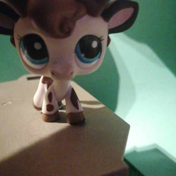 LPS Great Dane 589 / Authentic Littlest Pet Shop - Etsy