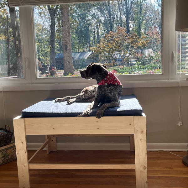 Unfinished Pet Ramp With Slats for Traction Wood Dog Ramp Pet Furniture ...