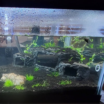 Corner Fish Aquarium Cave Hide With Viewing Window - Etsy