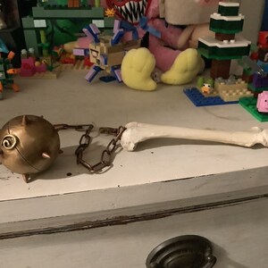 Mummified Scorpion Shadow Box - Etsy