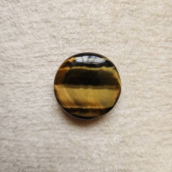 Gorgeous Snail Fossil Druzy/shell Druzy Gemstone/rare Fossil Druzy ...