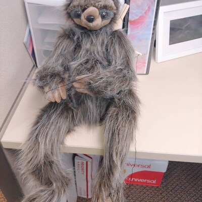 36 Big Bird Puppets - Etsy