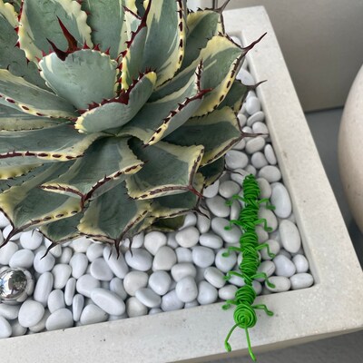 Green Centipede. Caterpillar on Wire. Centipede Sculpture. Green Worm ...